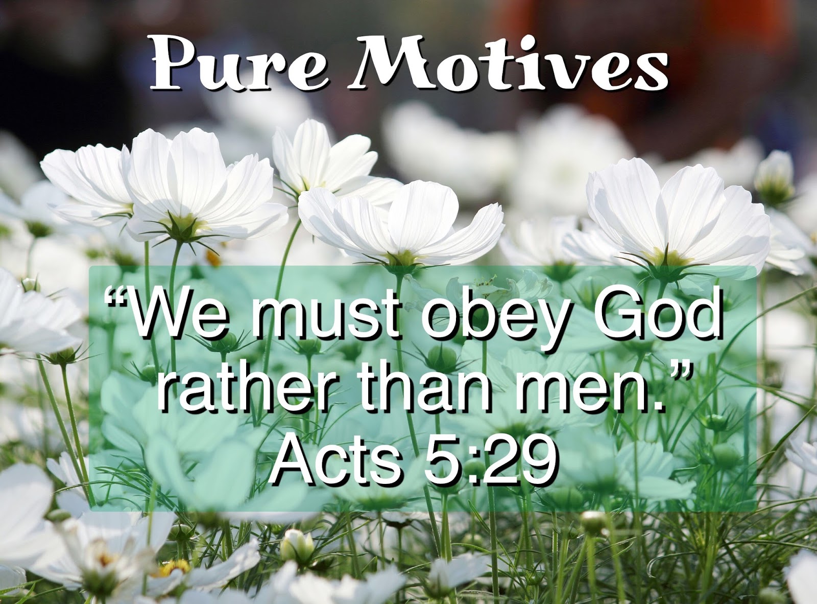 Pure Motives – Christ is The Head Fellowship